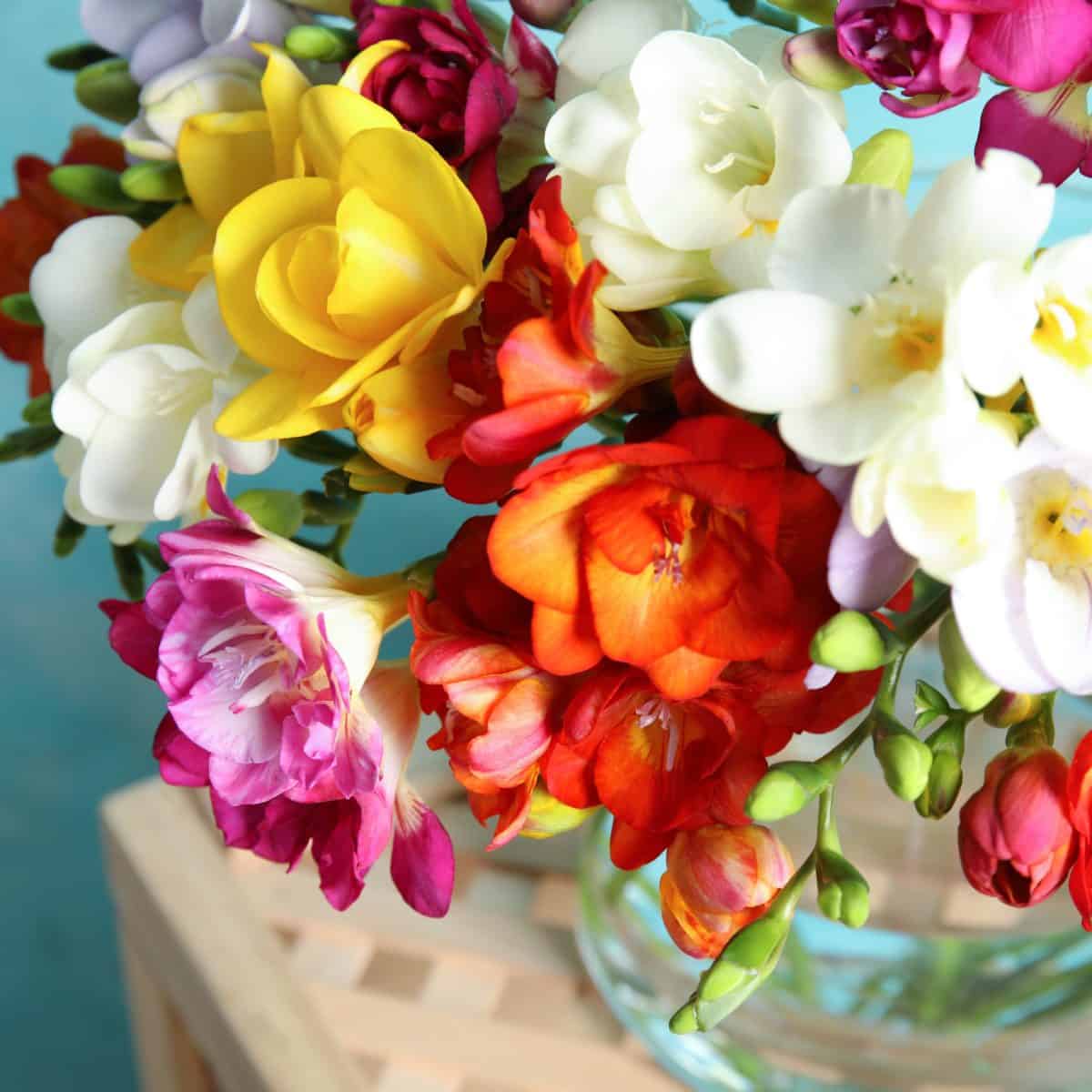 Our Favorite Springtime Flowers - Port Charlotte Florist Blog